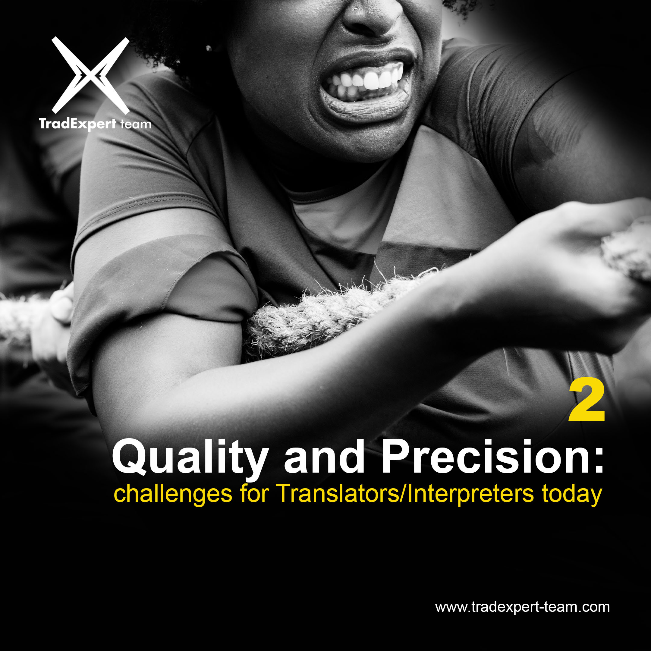 Quality and Precision: Challenges for Translators/Interpreters Today